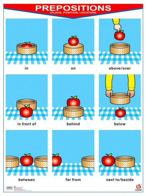 Póster Prepositions | Polillita Material Didáctico
